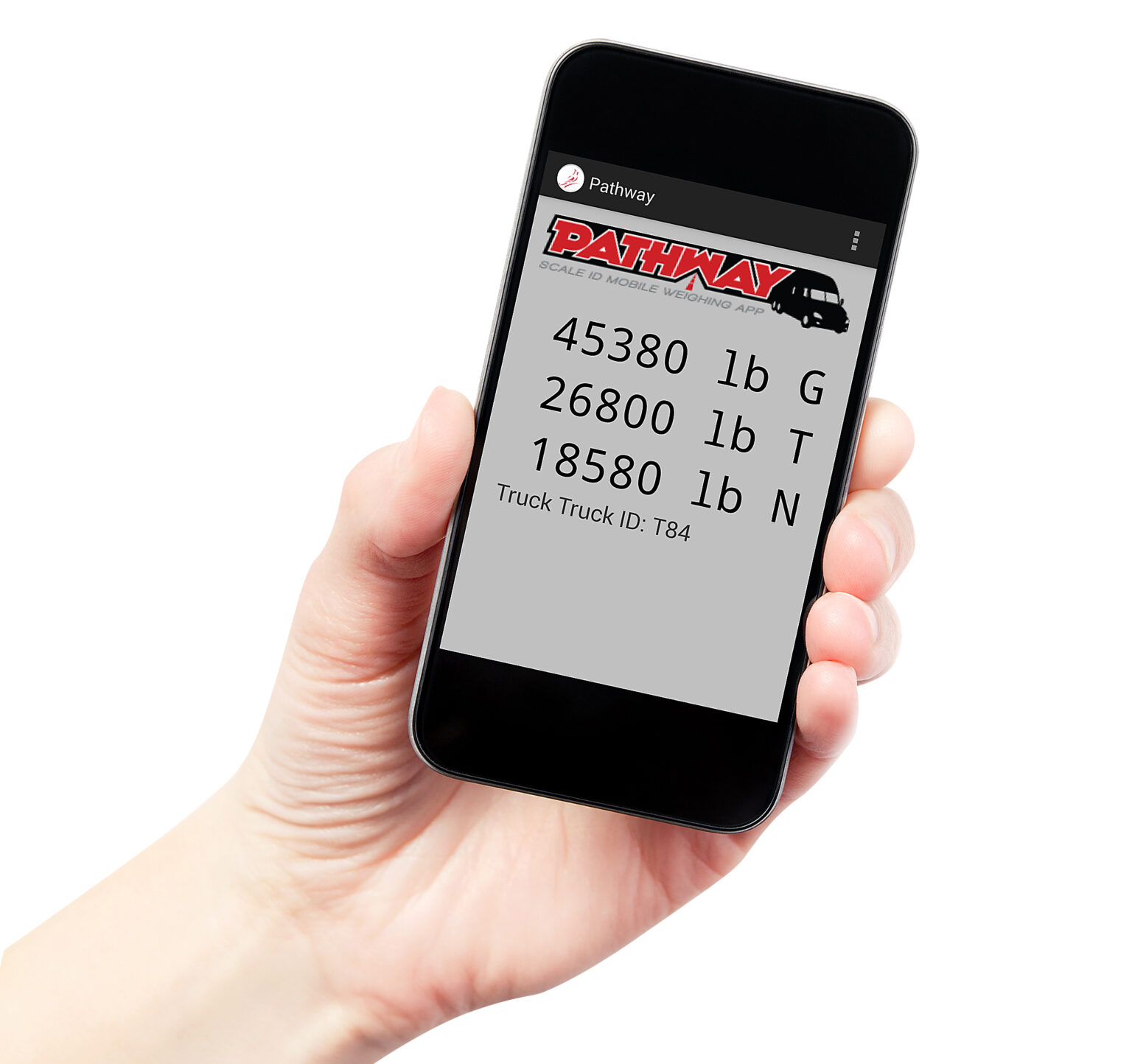 Pathway - Arlington Scale